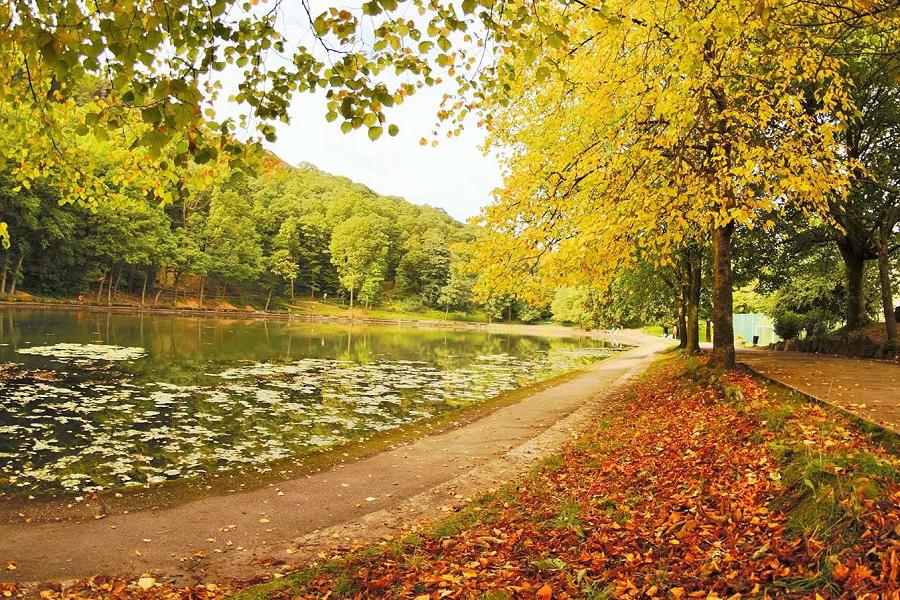 Darran Park Circular Walk