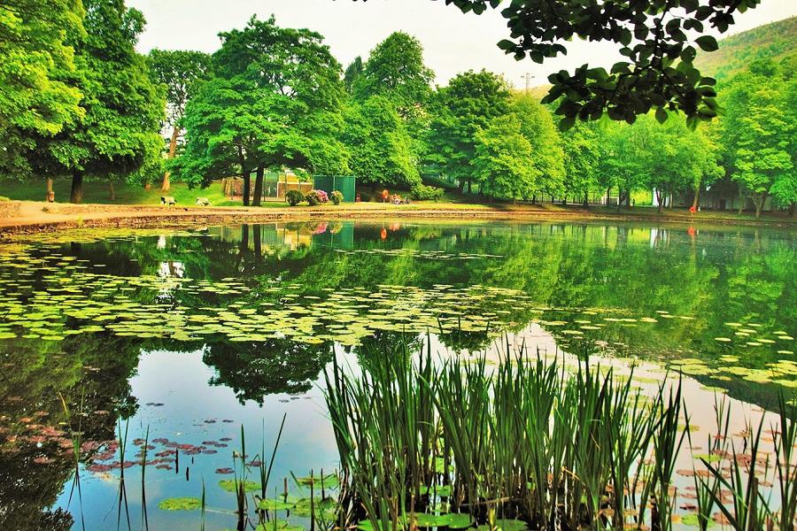 Darran Park Circular Walk