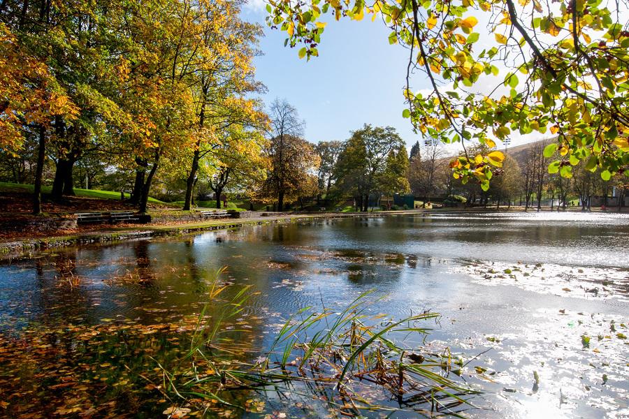 Darran Park Circular Walk