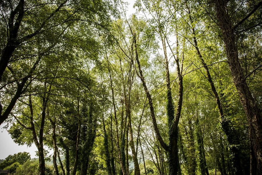 Pontypridd Common Heritage Walking Trail.